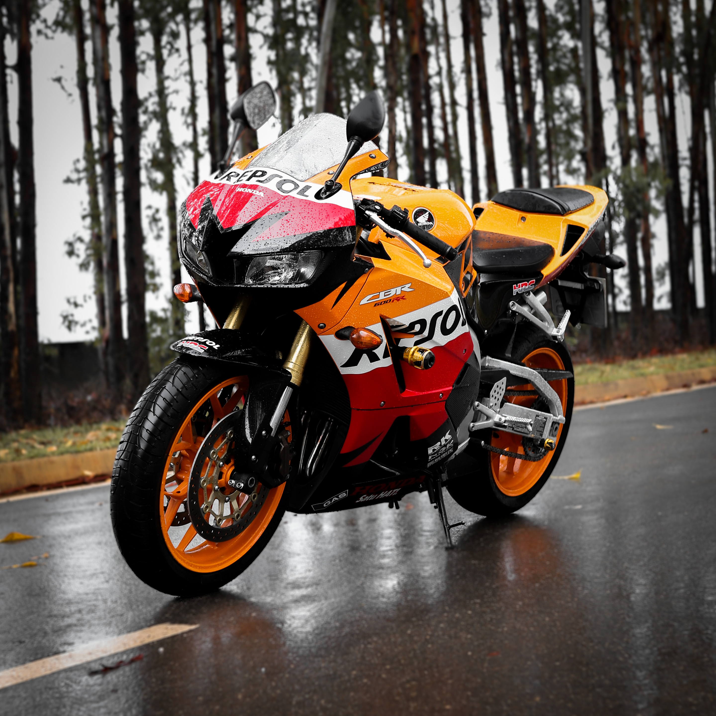 HONDA - CBR 600 CARA DE CAMARO :: AMZ.bet